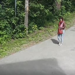 FallDown Object Detection Model By Study