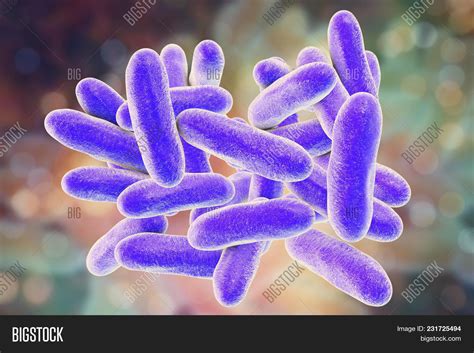 Legionella Pneumophila Image Photo Free Trial Bigstock