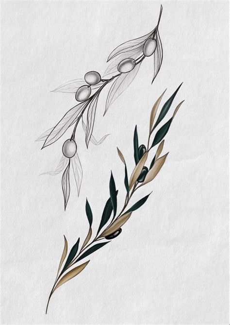 Olive Branch Tattoo Ideas Meaningful Designs For Peace And Resilience
