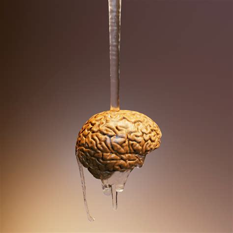 Neuropython Programming With Brain Signals Using Python All Insight Lab