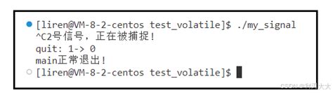 【进程信号拓展】可重入函数 andand 不可重入函数 andand volatile关键字详解 可重入函数 malloc csdn博客