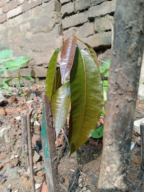 Aadarsh Kumar On Linkedin Savetheplanet