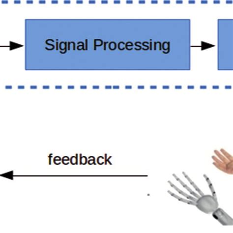 Brain Machine Interface Framework Electrophysiological Signals Are