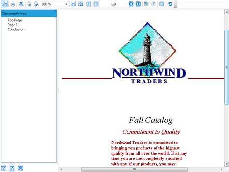 Using The Wpf Viewer