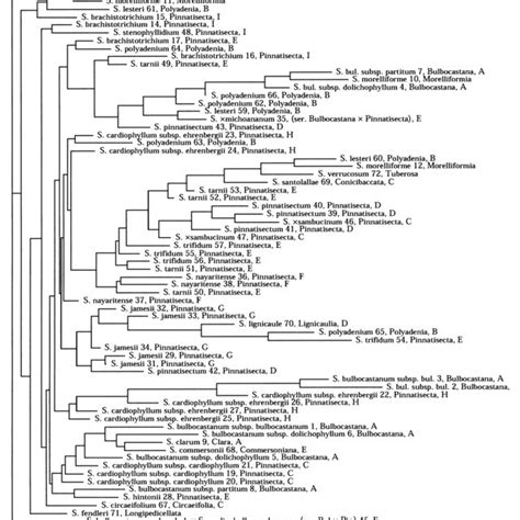 Neighbor Joining Dendrogram Based On Microsatellite Data Nei And Li