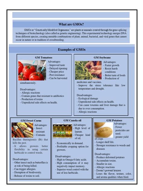 Examples Of Gmo Pdf Genetically Modified Organism Genetically