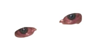 Crying Eyes Blank Template Imgflip