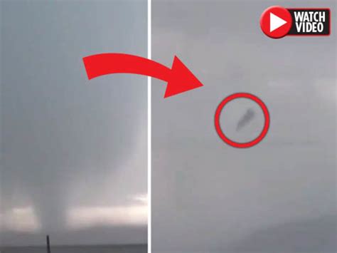 Tornado And Cow