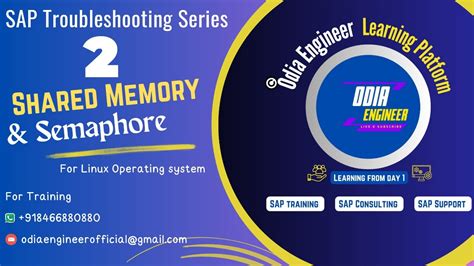 Sap Troubleshooting Series Shared Memory And Semaphore Shortage In Linux Sap Basis Sap Hana