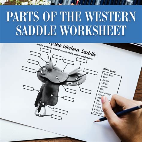 Parts Of The Western Saddle