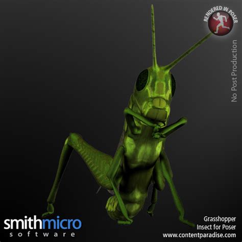 Grasshopper Legacy Discounted Content Posersoftware