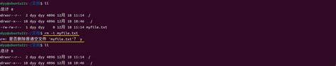 ubuntu 常用命令之 rm 命令用法介绍 ubuntu常用指令介绍与演示 csdn专栏
