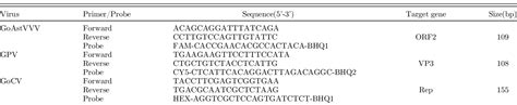 Table 1 From Taqman Probe Based Multiplex Real Time Rt Qpcr For Simultaneous Detection Of Goastv