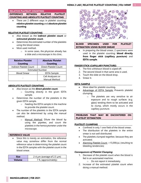 Manual Differential Segs Low At Darcy Bromley Blog