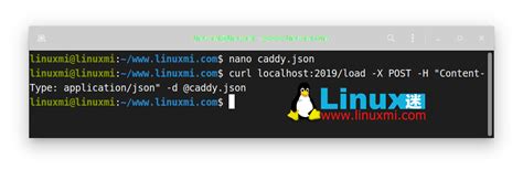 如何在 Ubuntu Server 上安装 Caddy Web 服务器 Linux迷