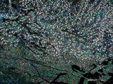 艺术装置에 있는 Wenshu님의 핀 현대 미술 목판화 개