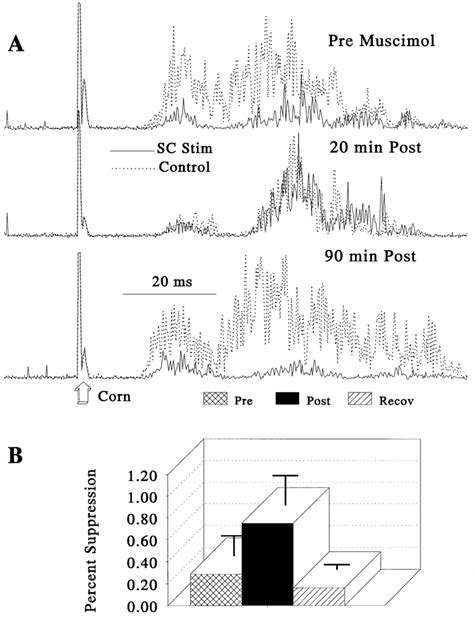 Effect Of Microinjections Of Muscimol Into The Nucleus Raphe Magnus On Download Scientific