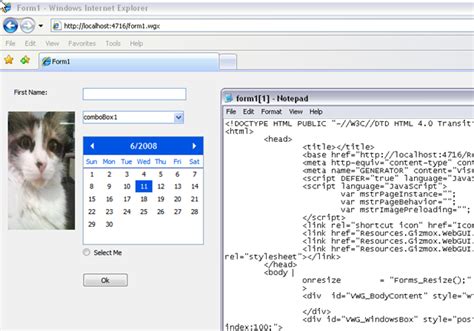 visual webgui blog what is visual webgui over silverlight
