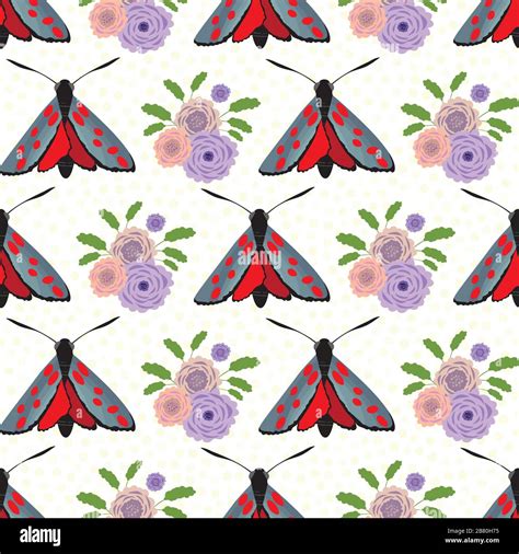Black Red Burnet Moth Stock Vector Images Alamy