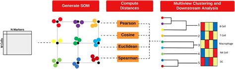 6 unsupervised clustering for cell annotation spatial analysis playbook