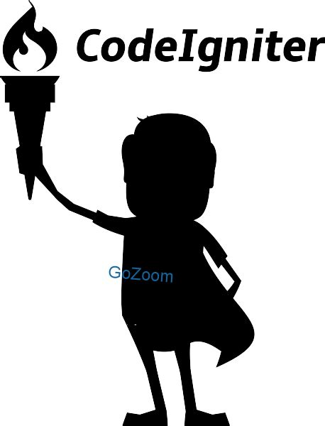 Software Development Company Gozoom