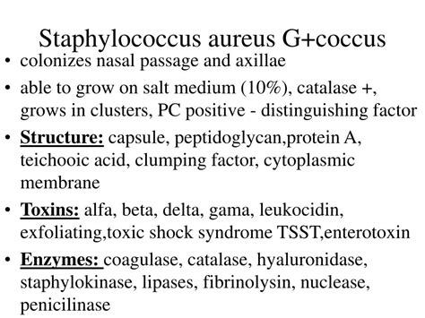 Ppt Classification Nomenclature Taxonomy Identification Powerpoint Presentation Id 616393