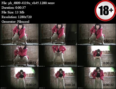 Ph4809 4119uvh451280wmvtn