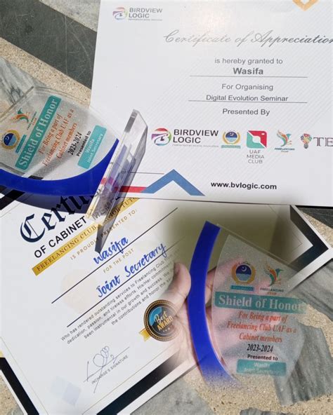 Wasifa On Linkedin Freelancingclub Teamwork Achievements Uaf Birdviewlogic