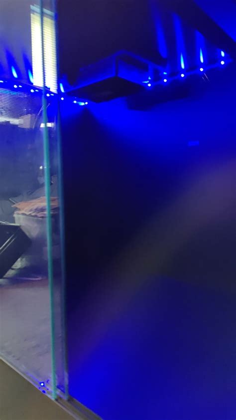 Django Has An Upgrade Rballpython