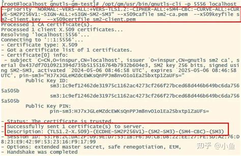 【实践】基于云峦keyarchos的国密技术与实践 qemu使用改用sm4 csdn博客