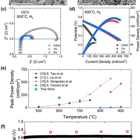 ceramic anode supported sofc performance a cross sectional sem