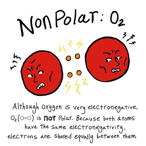 Polar vs. Nonpolar Bonds — Overview & Examples - Expii