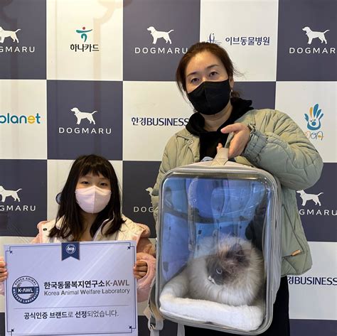 먼치킨 루루 사모예드책임분양 스피츠책임분양 시바견책임분양 시베리안허스키책임분양 시츄책임분양 요크셔테리어책임분양 웰시코기책임분양 이탈리아그레이하운드책임분양 치와와책임분양 코카