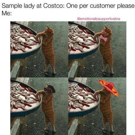 37 Costco Memes That Come In Bulk With No Free Sample