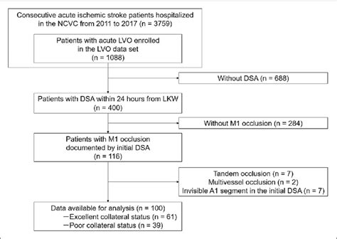 Study Flow Chart Dsa Indicates Digital Subtraction Angiography Lkw