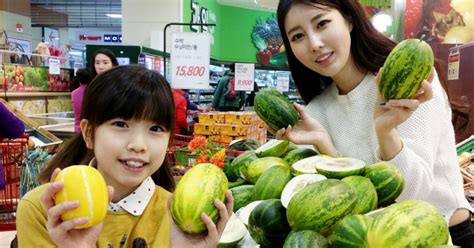 포토 롯데마트에서 파파야메론 맛보세요 3