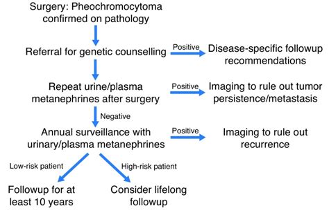 Canadian Urological Association Best Practice Report Long Term