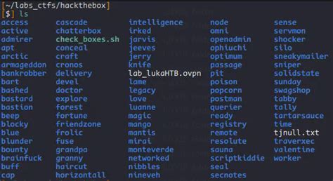 My OSCP Journey Mkiesel Ch