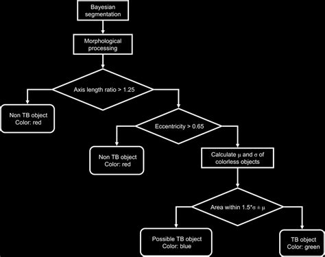 Flowchart Showing The Classification Steps For Automatic Identification