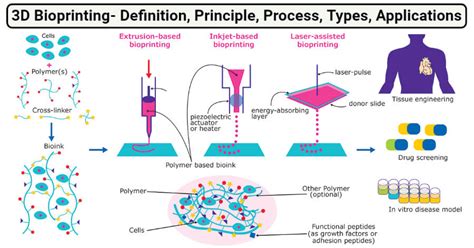 3D Bioprinting Definition Principle Process Types Applications