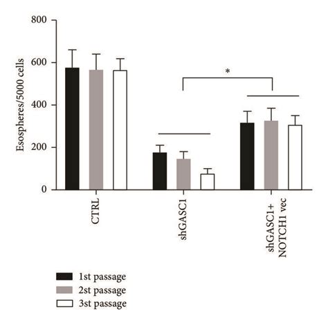 Notch1 Is Required For Gasc1 Induced Csc Like Properties In Escc Download Scientific Diagram