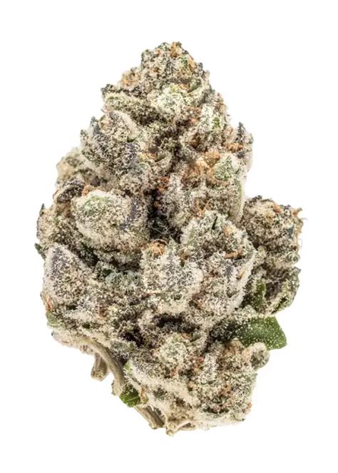 Banana Og Cannabis Strain Information Growdiaries