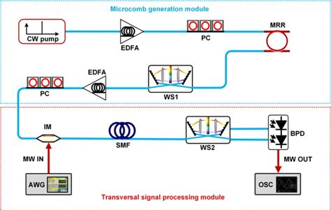 Experimental Schematic Of A Microcomb Based MWP Signal Processor CW Download Scientific