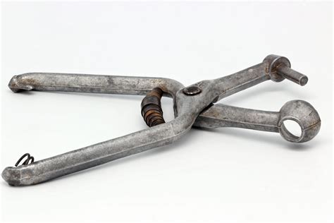 Olive Pitter Cooksinfo