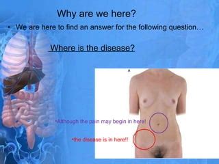 Anatomy Of Appendix PPT