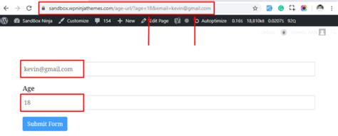 Set Default Form Value From Url Parameters Wp Manage Ninja
