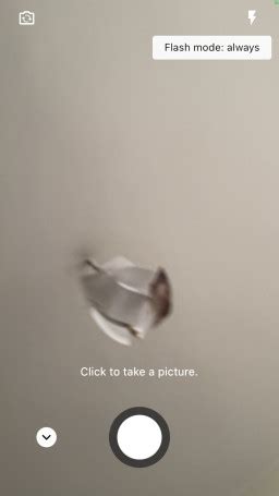 BUG IOS Front Camera Flash Can Be Set From Auto To On But Not Further Issue