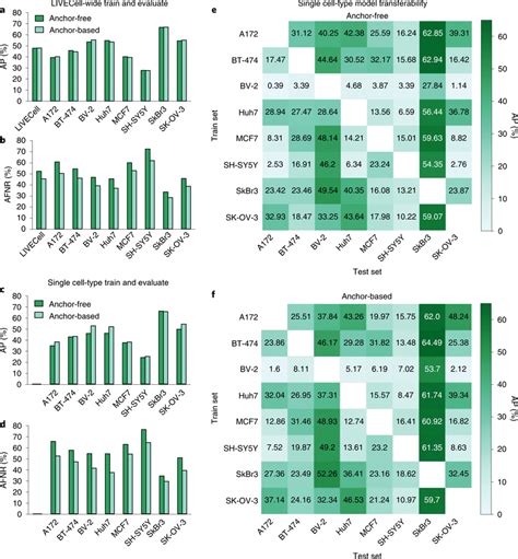 Performance Evaluation Of Cnn Models Trained On Livecell Af Bar