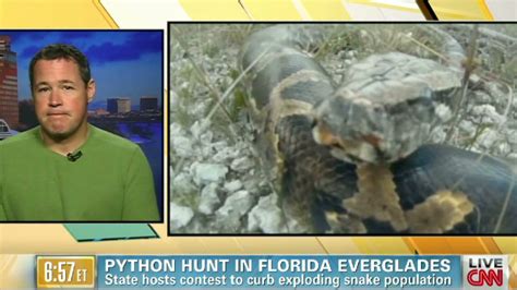 Florida Tackling Python Problem With Hunting Contest CNN