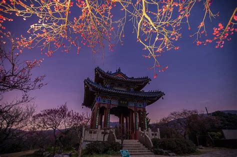 东风夜放花千树，更吹落，星如雨。宝马雕车香满路